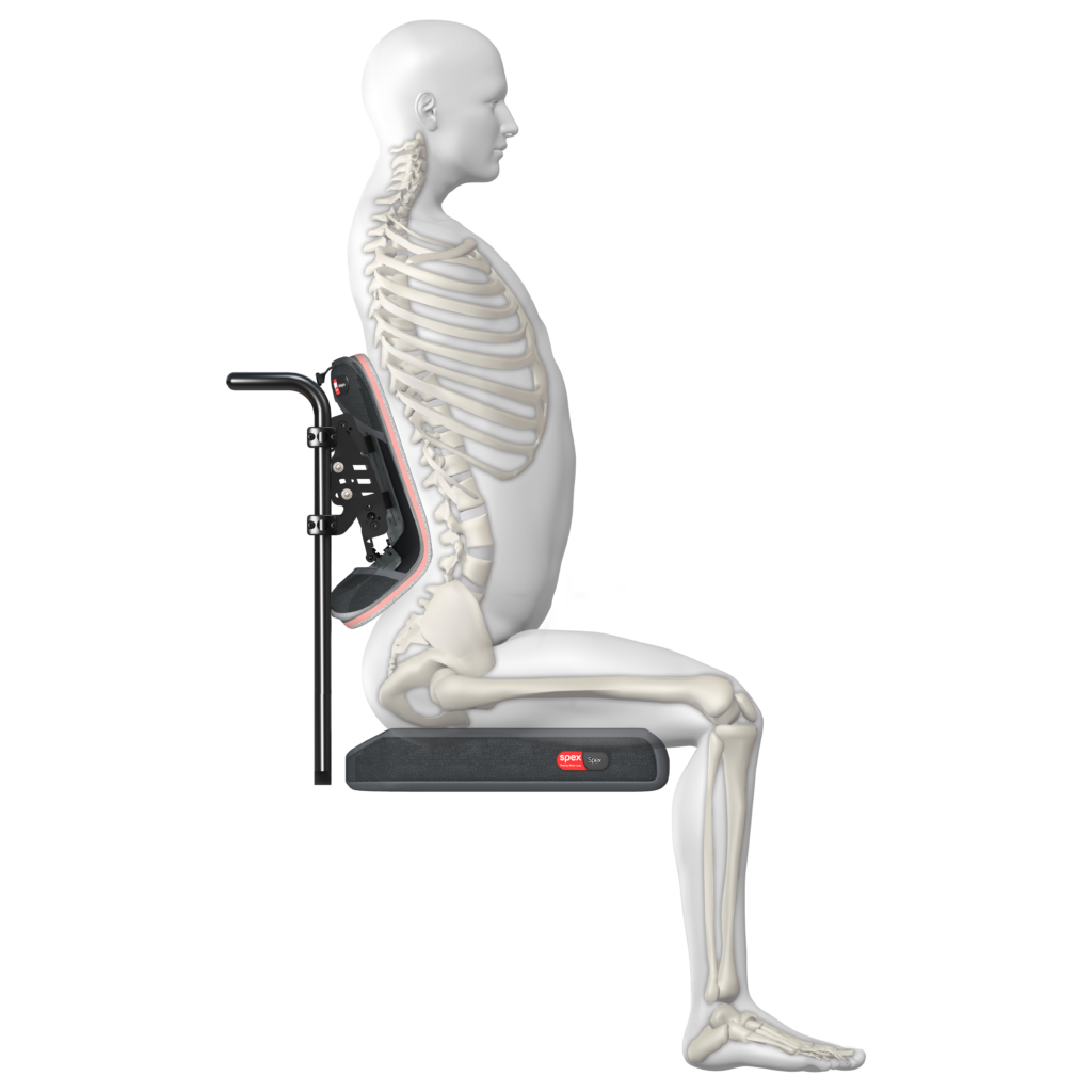 Online Education Opportunity: Adapta Back Support - Medifab : Medifab