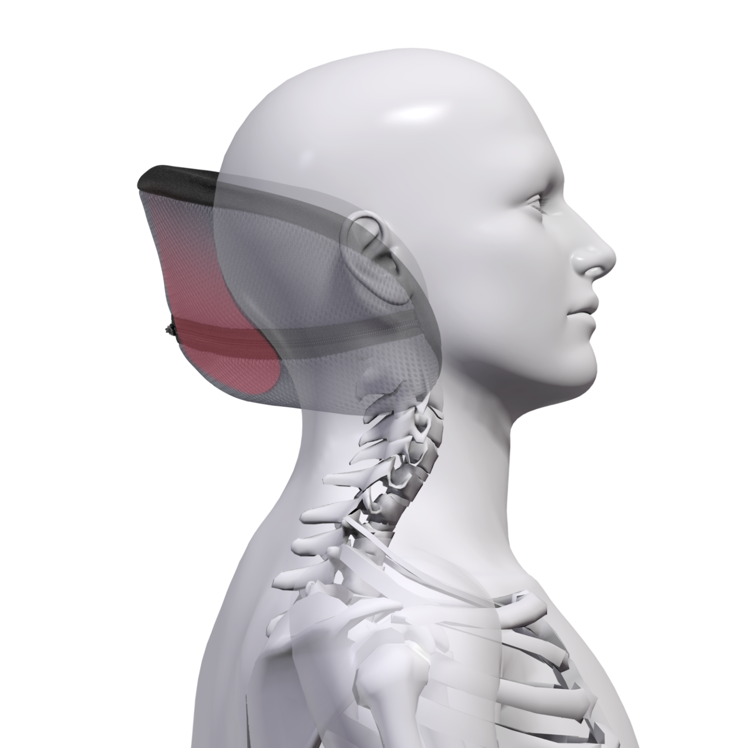 Clinical Justification for Head Supports - Medifab : Medifab
